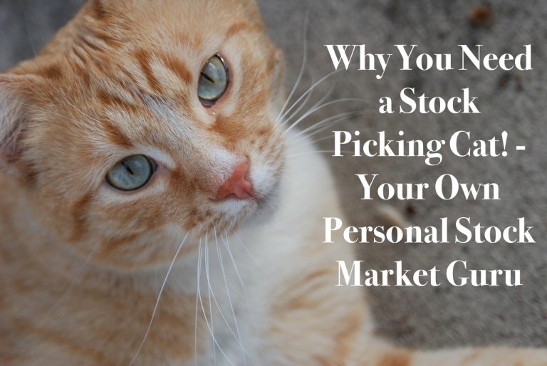 When investors talk nowadays, that it is a time for “stock picking to ...