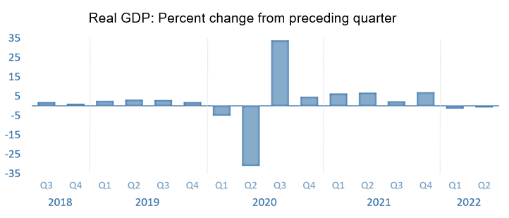 The key puzzle about the drop in the US GDP in both Q1 and Q2 is the ...